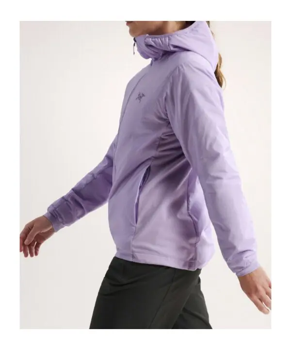 Arc'teryx Atom Hoody