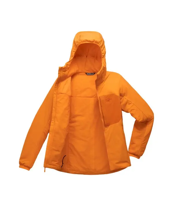 Arc'teryx Proton Hoody