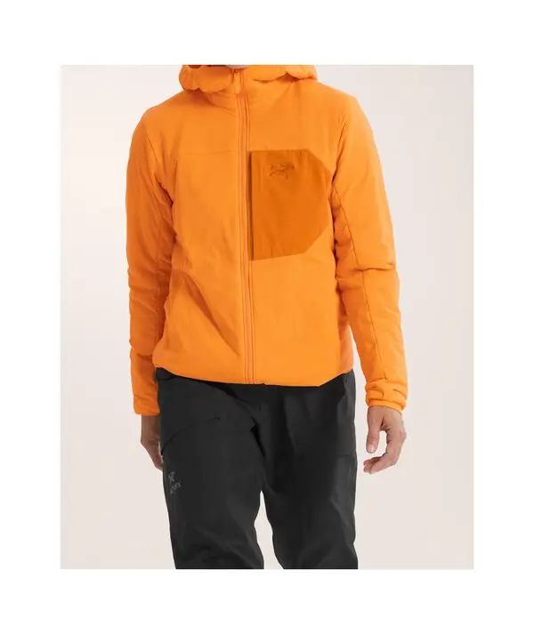 Arc'teryx Proton Hoody
