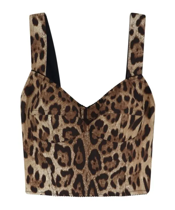 Dolce & Gabbana Leopard Print Bustier Top - Brown