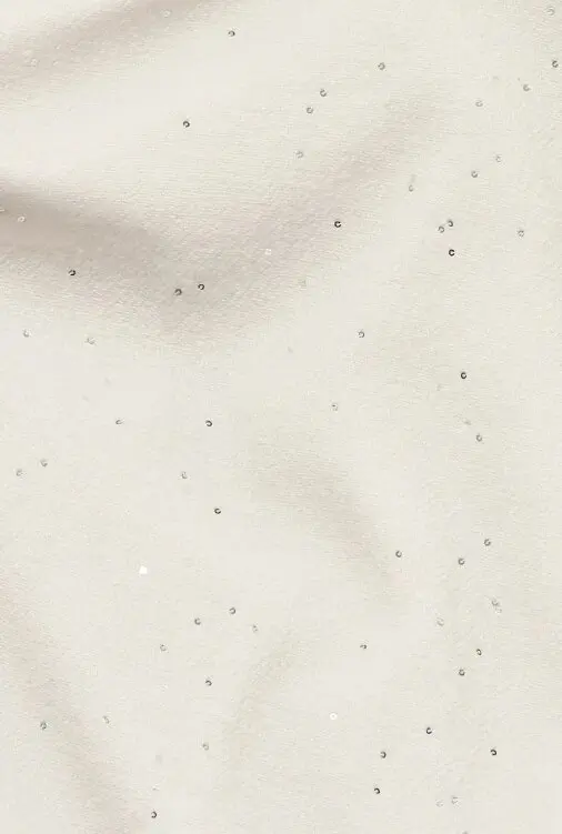 Peserico Sequin-embellished Frayed Scarf