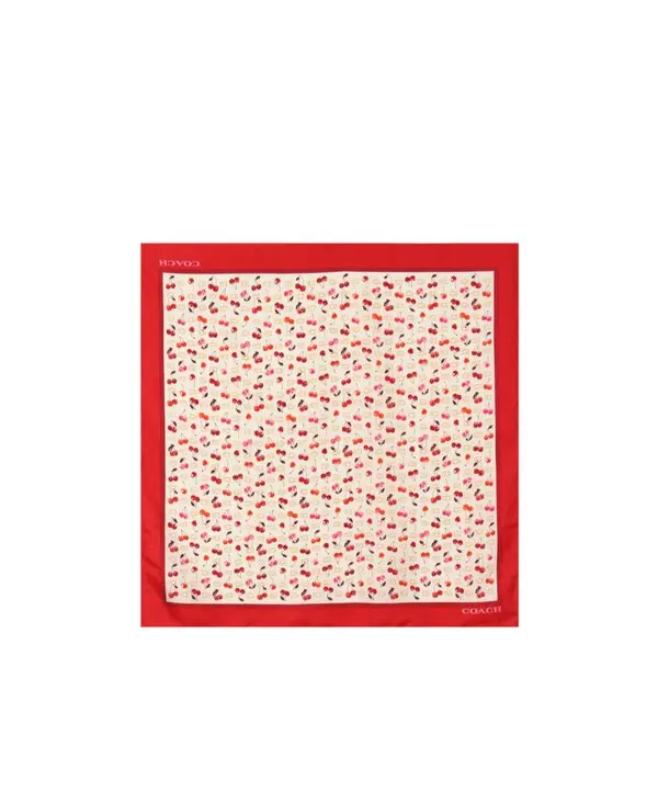 COACH Printed Silk Scarf