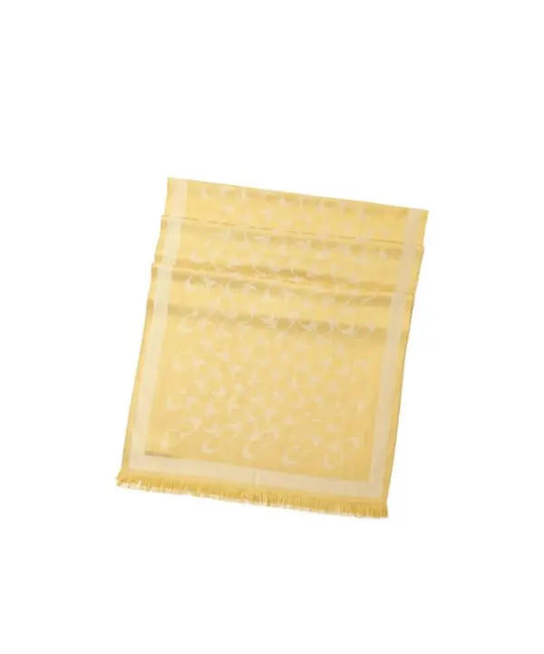 COACH Tassel Scarf