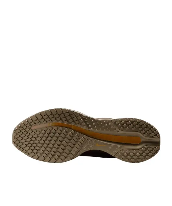 Nike Pegasus Premium Air Sole Low-tops Sneakers