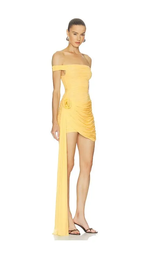 MAYGEL CORONEL Vox Mini Dress