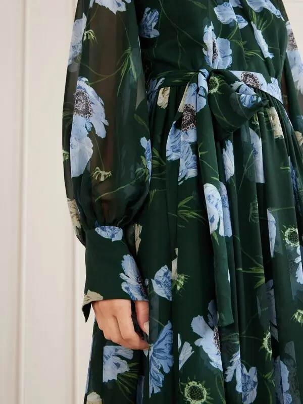 Erdem Floral-printed Silk-voile Maxi Gown
