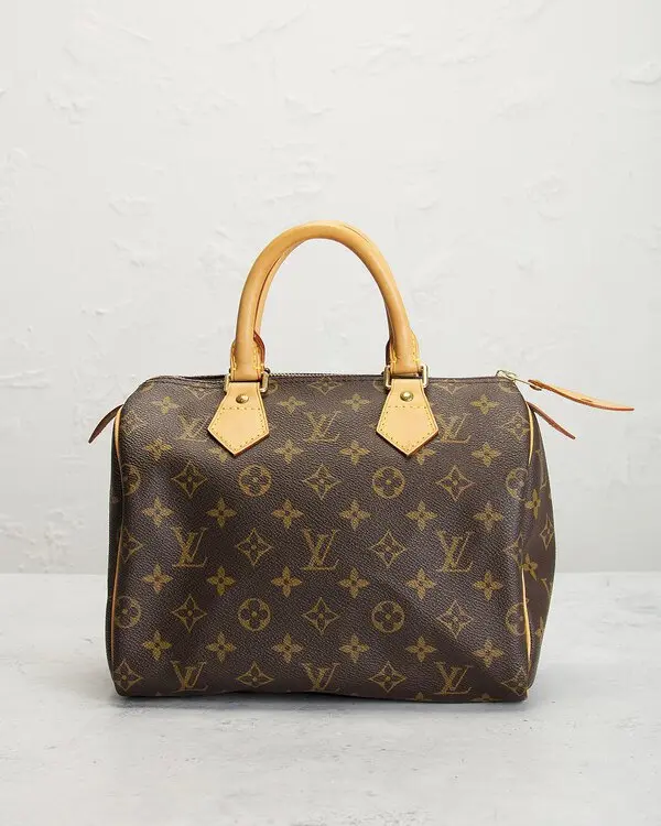 FWRD RENEW Louis Vuitton Monogram Speedy 25 Handbag