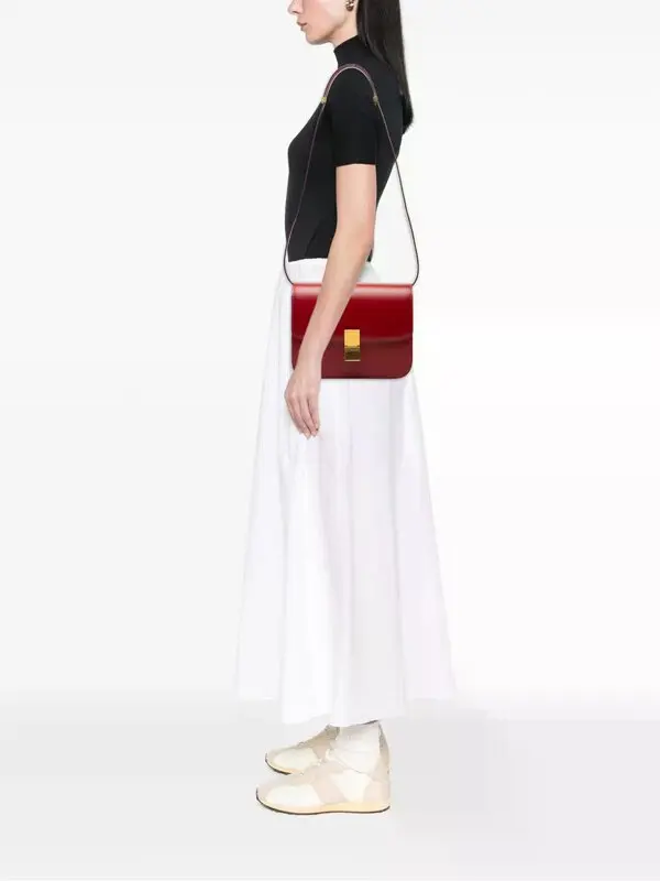 Celine 2010-2026 Medium Calfskin Classic Box Crossbody Bag
