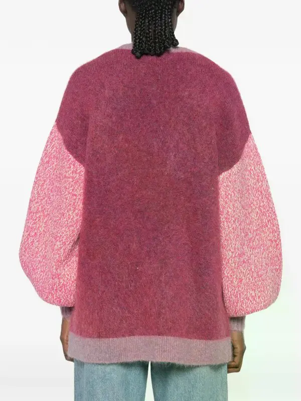 ALEMAIS Alemasis Oversized Embroidered V-neck Cardigan