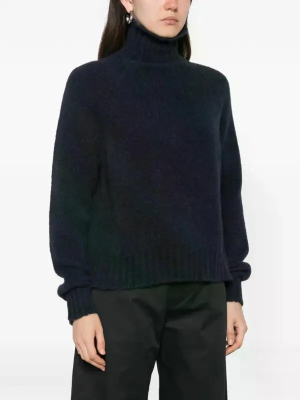 JUCCA Roll Neck Raglan Sleeve Sweater