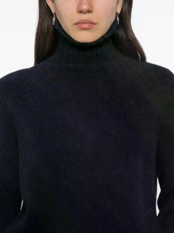 JUCCA Roll Neck Raglan Sleeve Sweater