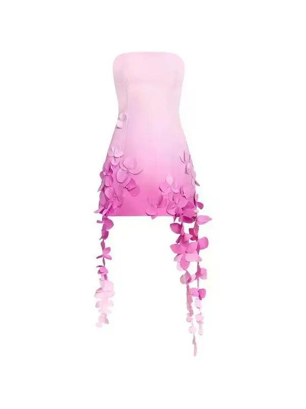 Acler Sandia Floral-appliqué Mini Dress - Pink