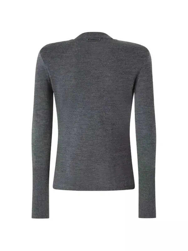 Pinko Merino Wool Crew Neck Sweater