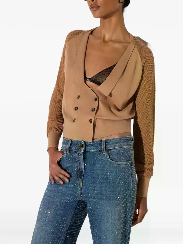 Elisabetta Franchi Knit And Mesh Cardigan