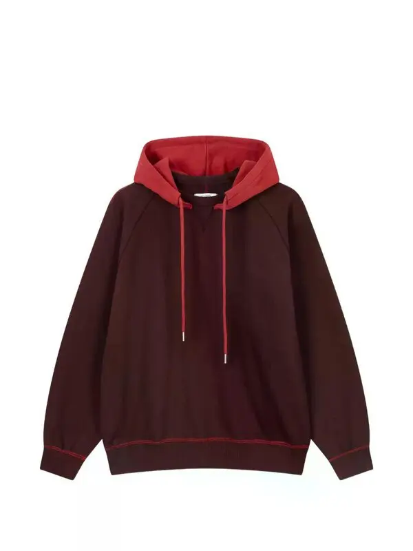 STUDIO TOMBOY Contrast-hood Raglan-sleeve Hoodie - Brown