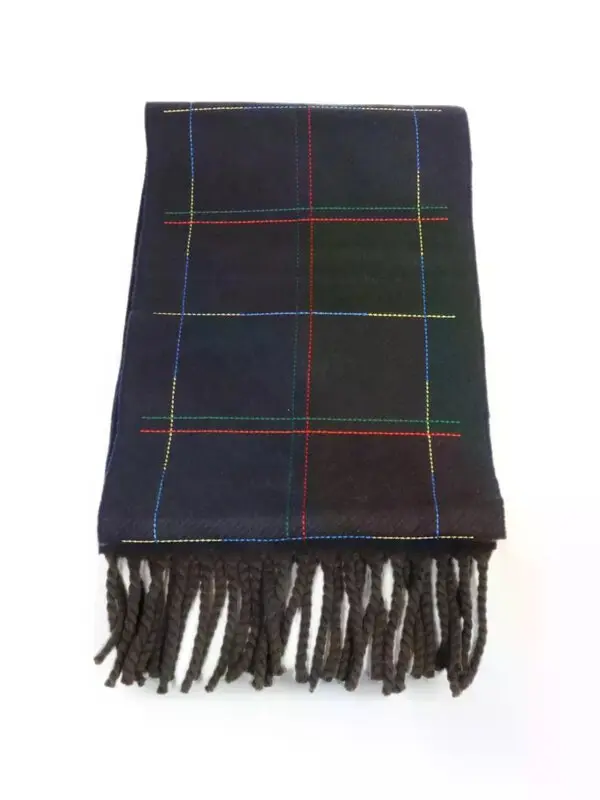Hermès Embroidered Fringed Scarf