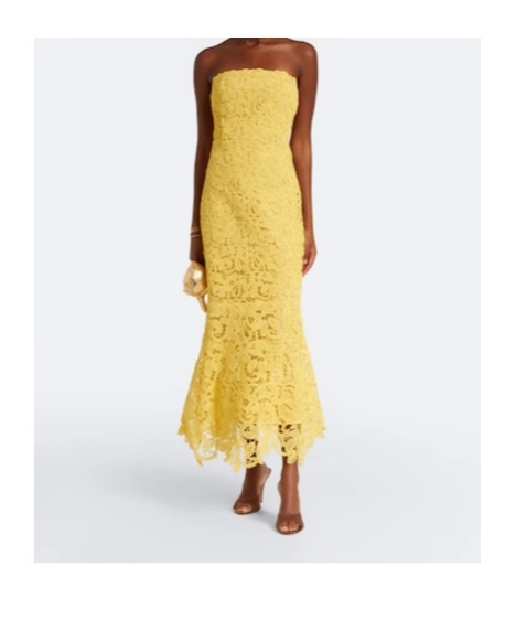 Simkhai Sera Lace Bustier Dress