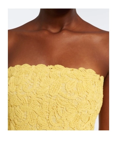 Simkhai Sera Lace Bustier Dress