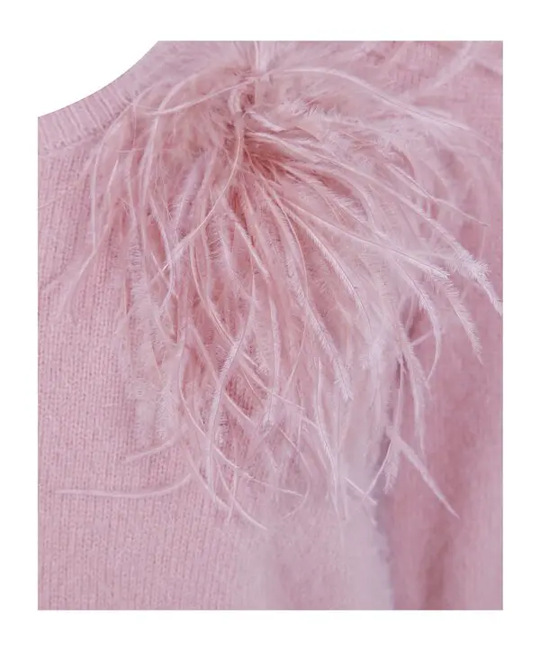TWINSET Pullover With Detachable Feather Brooch