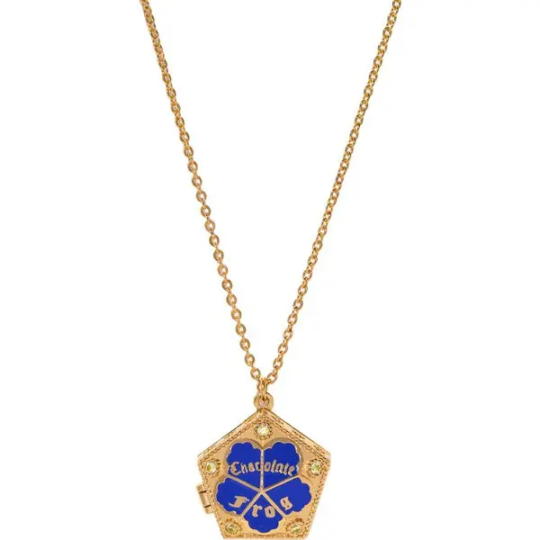 GIRLS CREW Harry Potter Chocolate Frog Locket Pendant Necklace