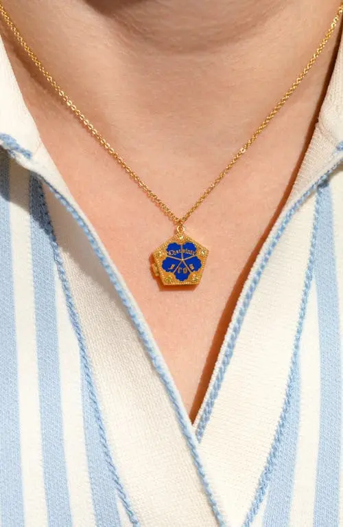 GIRLS CREW Harry Potter Chocolate Frog Locket Pendant Necklace