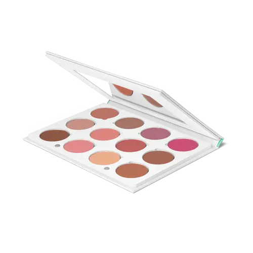 OFRA COSMETICS Pro Paletteblush