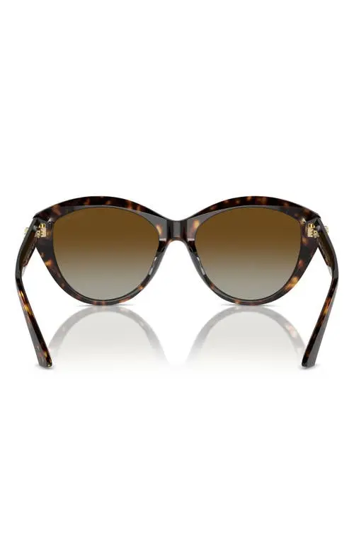 JIMMY CHOO Phantos Sunglasses