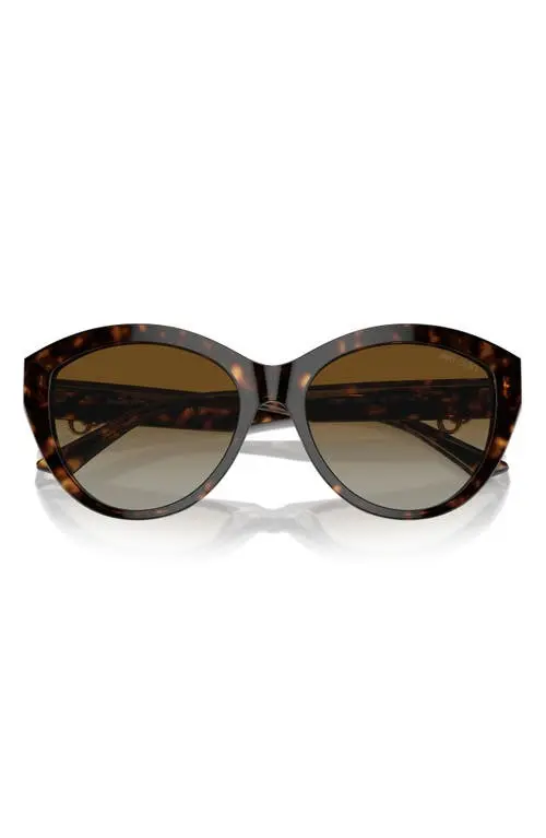 JIMMY CHOO Phantos Sunglasses