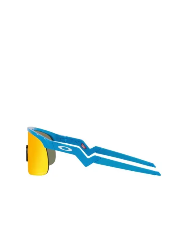 Oakley Resistor Sunglasses
