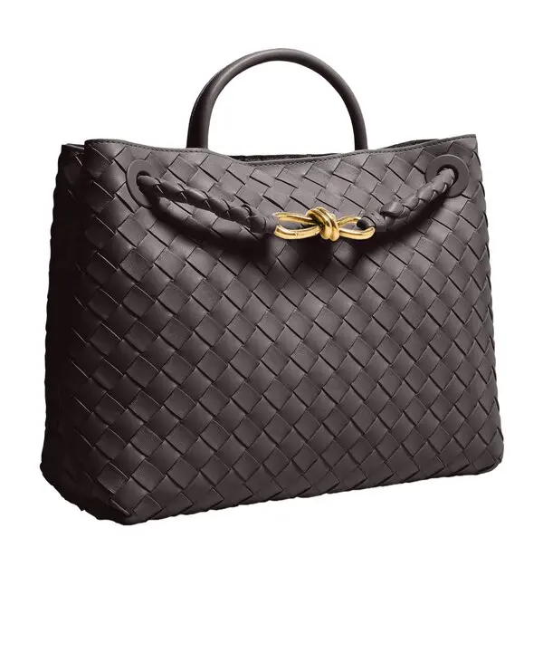 Bottega Veneta Andiamo Bag - Black