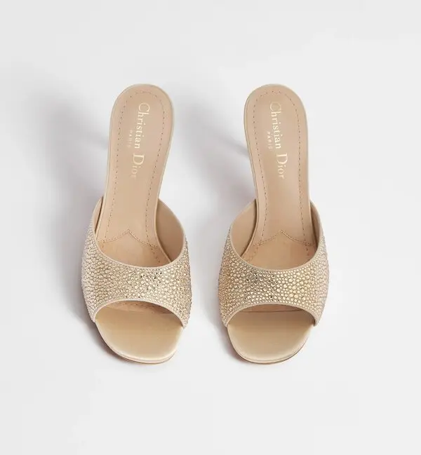 Dior Or Icon Heeled Slide