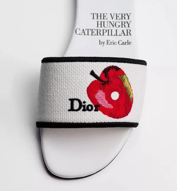 Dior Dway Slide