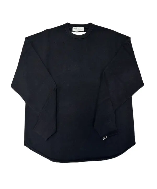 Extreme Cashmere N53 Crew Neck Knit Sweater