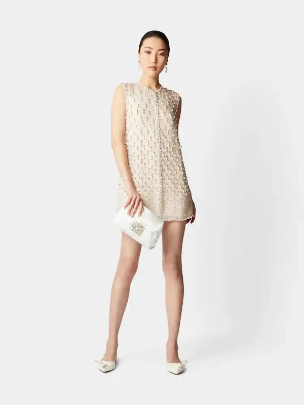 ROGER VIVIER Embellished Satin Mini Clutch