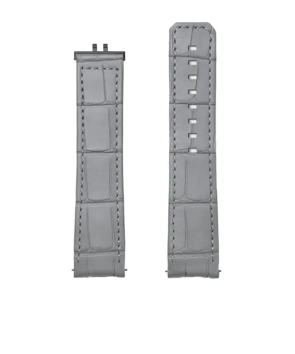 Dior 38mm, Chiffre Rouge Watch Strap - Grey