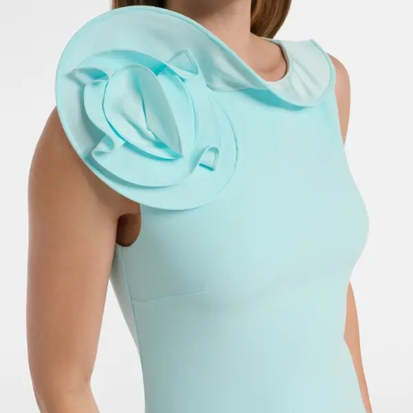 Roland Mouret Sleeveless Maxi Gown With Floral Appliqu