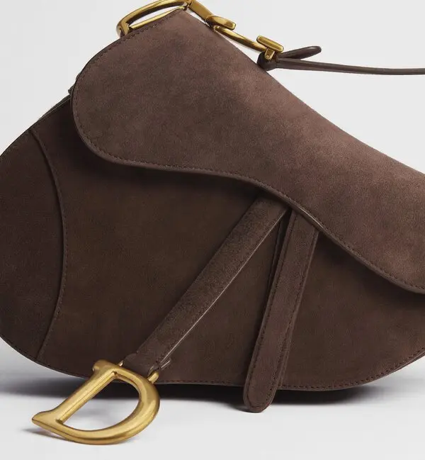 Dior Saddle Bag With Strap