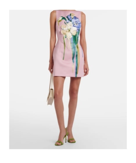 LEO Ali Floral-appliqué Minidress