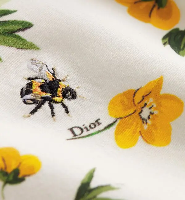 Dior Oversized Cropped T-shirt