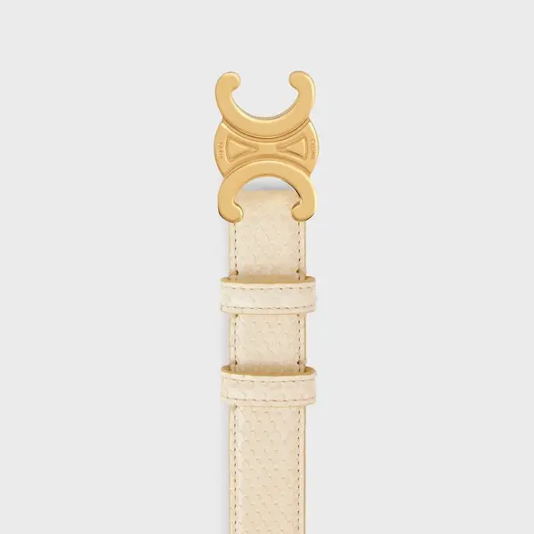 Celine Medium Triomphe Belt In Python