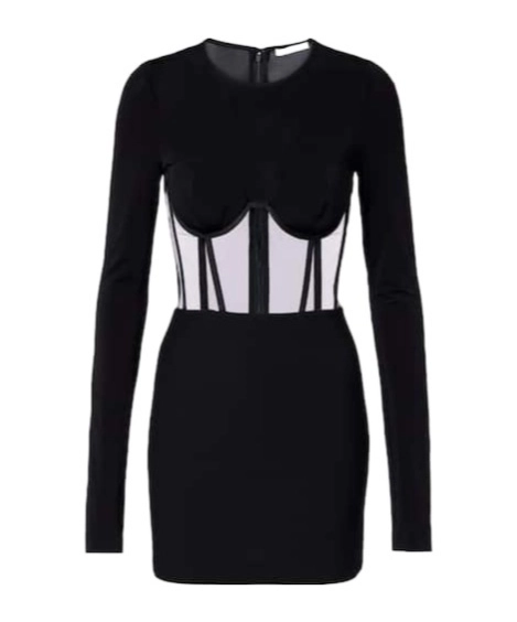 NENSI DOJAKA Paneled Corset Dress