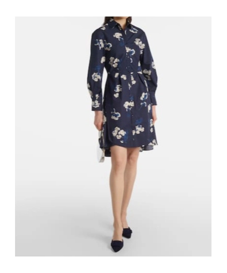 Erdem Cotton Shirt Dress