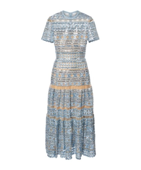 Elie Saab Embroidered Tulle Maxi Dress