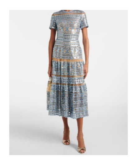 Elie Saab Embroidered Tulle Maxi Dress