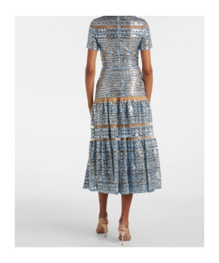 Elie Saab Embroidered Tulle Maxi Dress