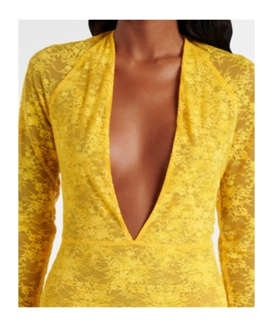 Alex Perry Sheer Lace Gown