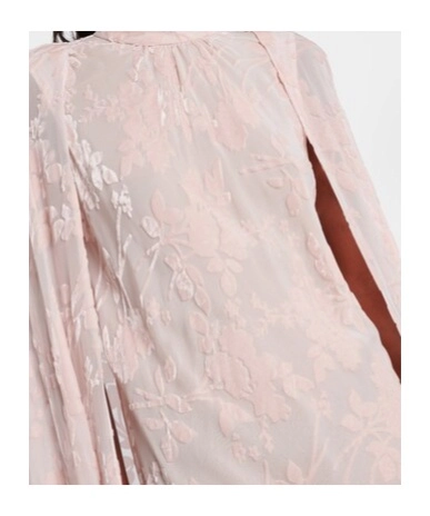 RODARTE Caped Velvet Devoré Gown