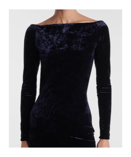 Alex Perry Velvet Gown