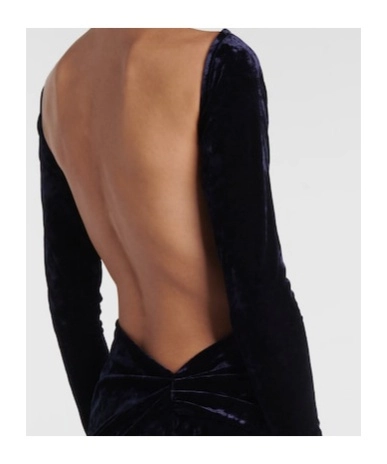 Alex Perry Velvet Gown