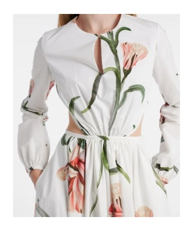 Giambattista Valli Macro Carnation Cutout Poplin Maxi Dress